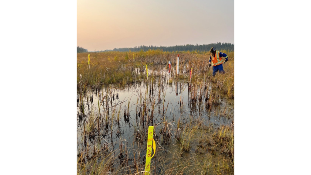 Utility/Line Locating